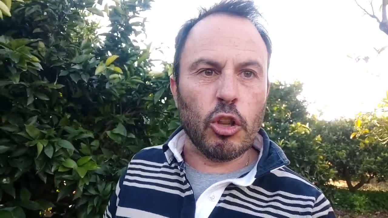 Qué razón tiene El Palleter – El Diestro TV