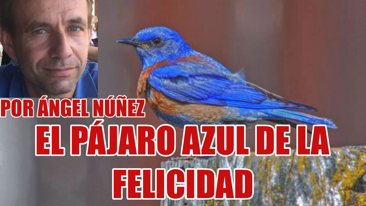 EL PÁJARO AZUL DE LA FELICIDAD, POR ÁNGEL NÚÑEZ – El Diestro TV